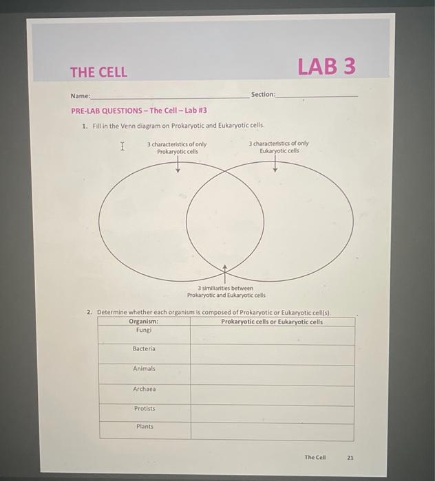 Solved THE CELL LAB 3 Name: Section: PRE-LAB QUESTIONS-The | Chegg.com