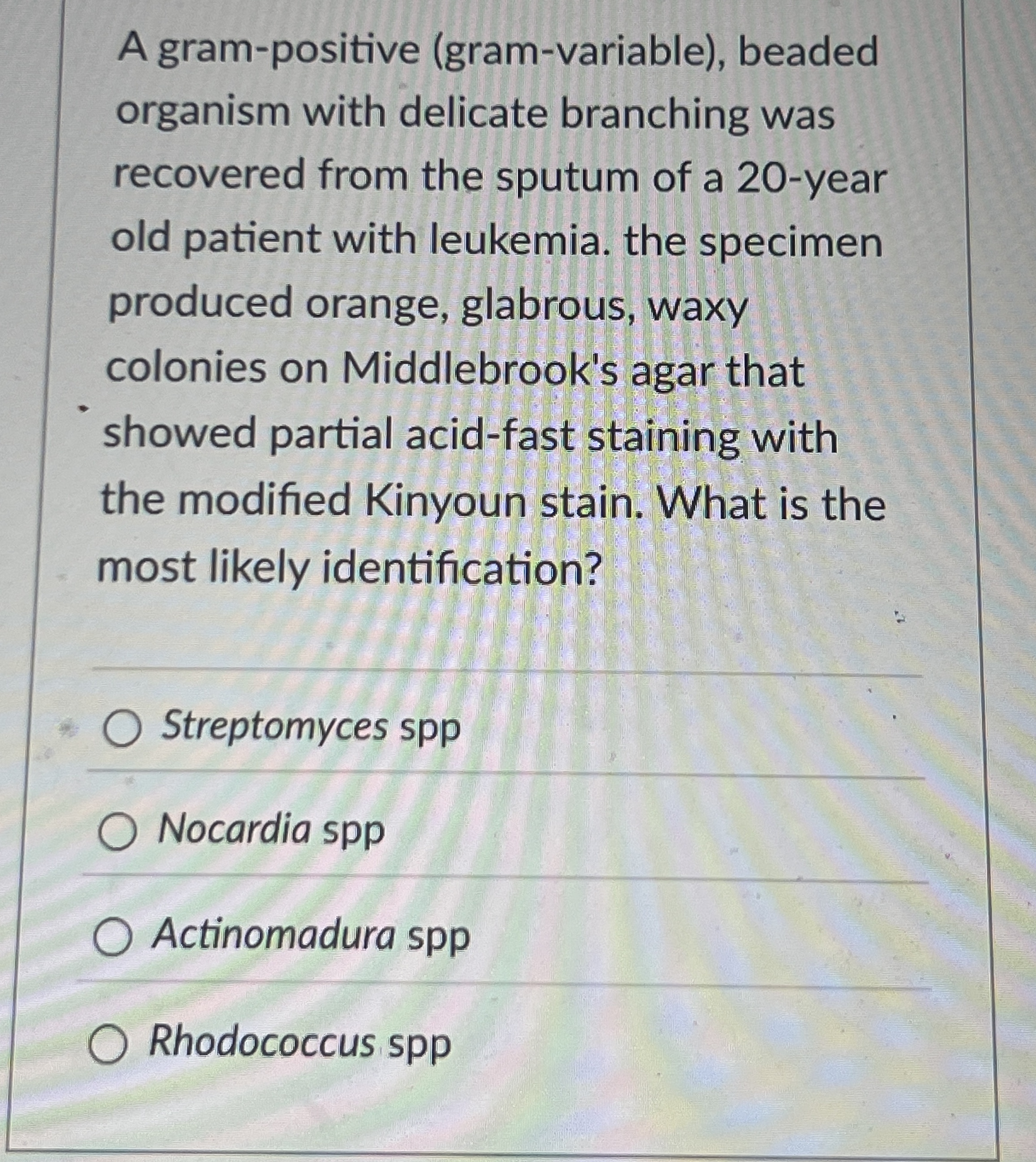 Solved A gram-positive (gram-variable), ﻿beaded organism | Chegg.com