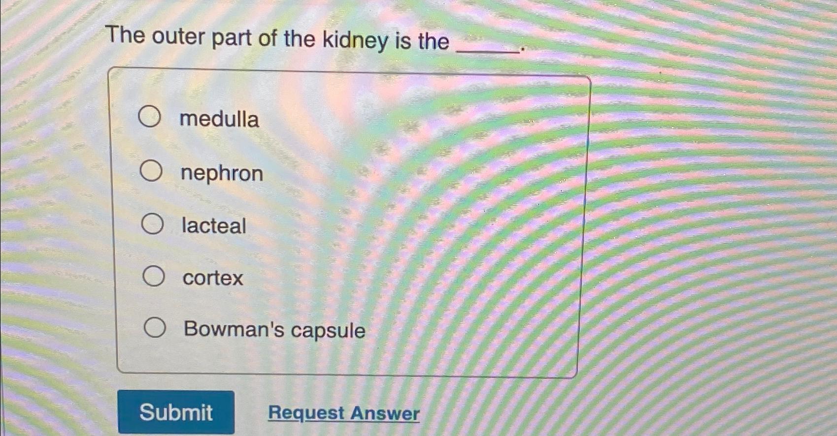 Solved The outer part of the kidney is | Chegg.com