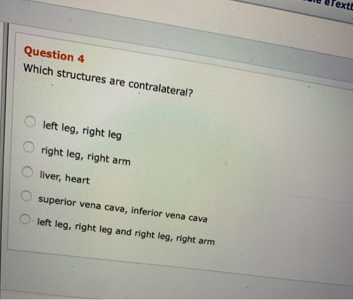 Solved exte Question 4 Which structures are contralateral? | Chegg.com