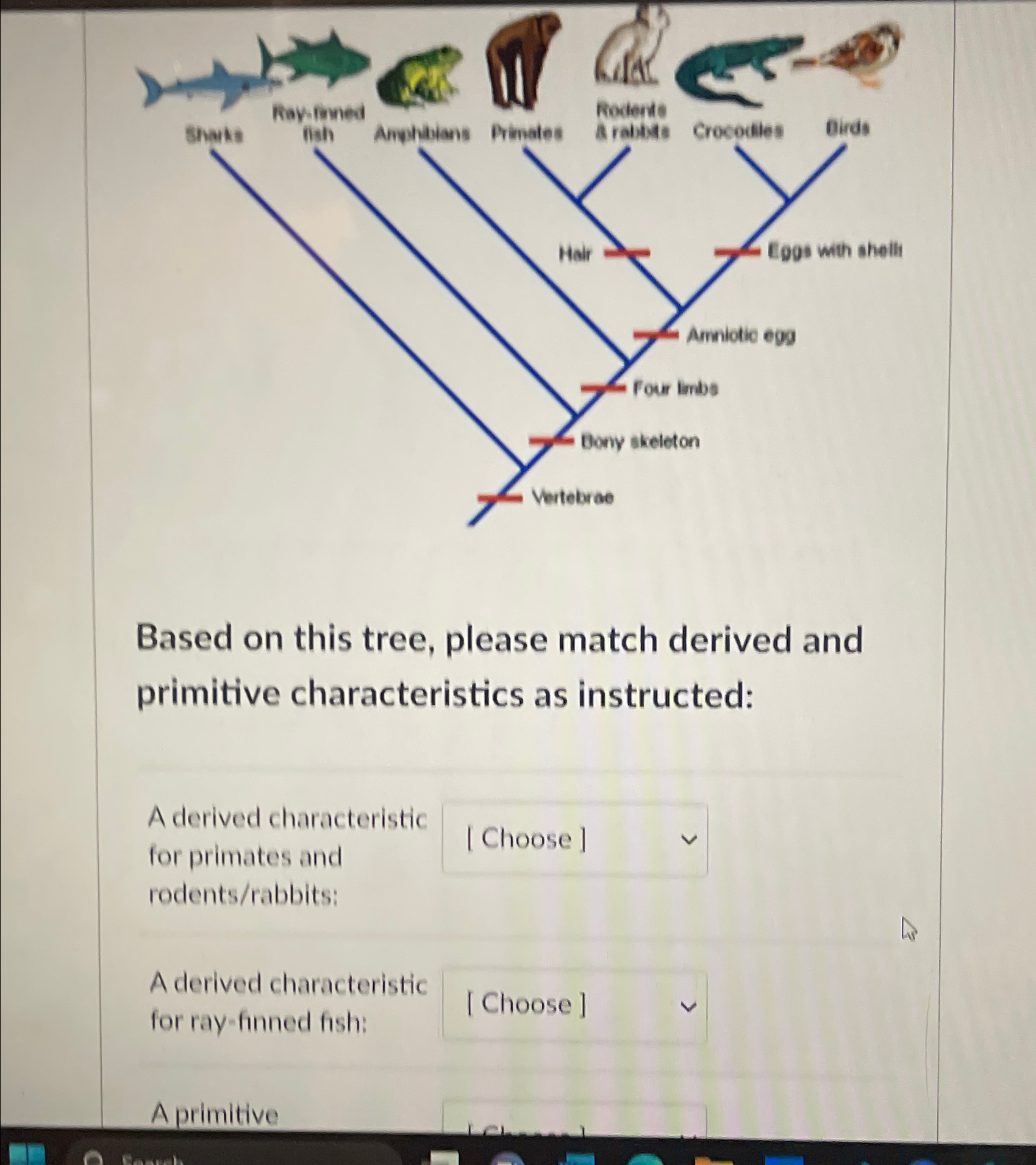 Solved Based on this tree, please match derived and | Chegg.com
