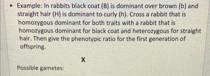 Solved Example: In rabbits black coat (B) is dominant over | Chegg.com