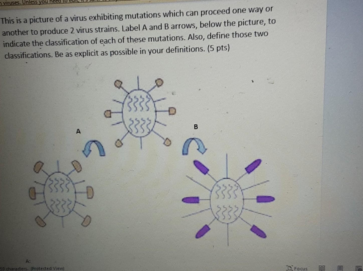 This is a picture of a virus exhibiting mutations | Chegg.com