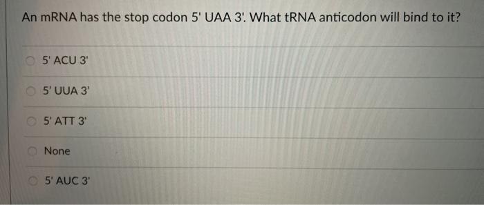 Solved An mRNA has the stop codon 5'UAA 3. What tRNA | Chegg.com