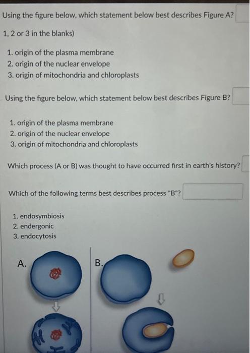Solved Using the figure below, which statement below best | Chegg.com