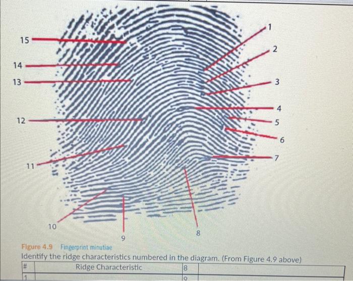 dentify the ridge characteristics numbered in the | Chegg.com
