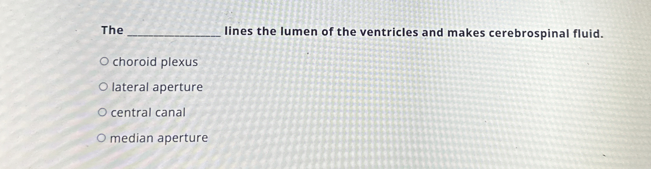 Solved The ﻿lines the lumen of the ventricles and makes | Chegg.com