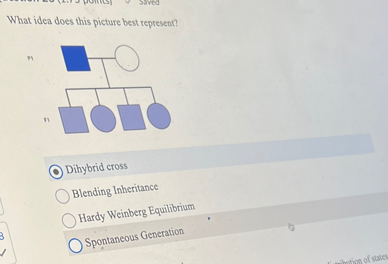 Solved What idea does this picture best represent?Dihybrid | Chegg.com