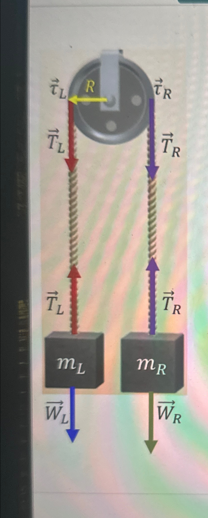 Solved Using given values for mL,mR,MP ﻿and g, ﻿evaluate | Chegg.com