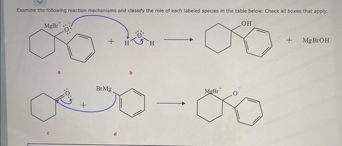 Solved +MgBrOH \begin{tabular}{|c|c|c|c|c|c|} \hline | Chegg.com
