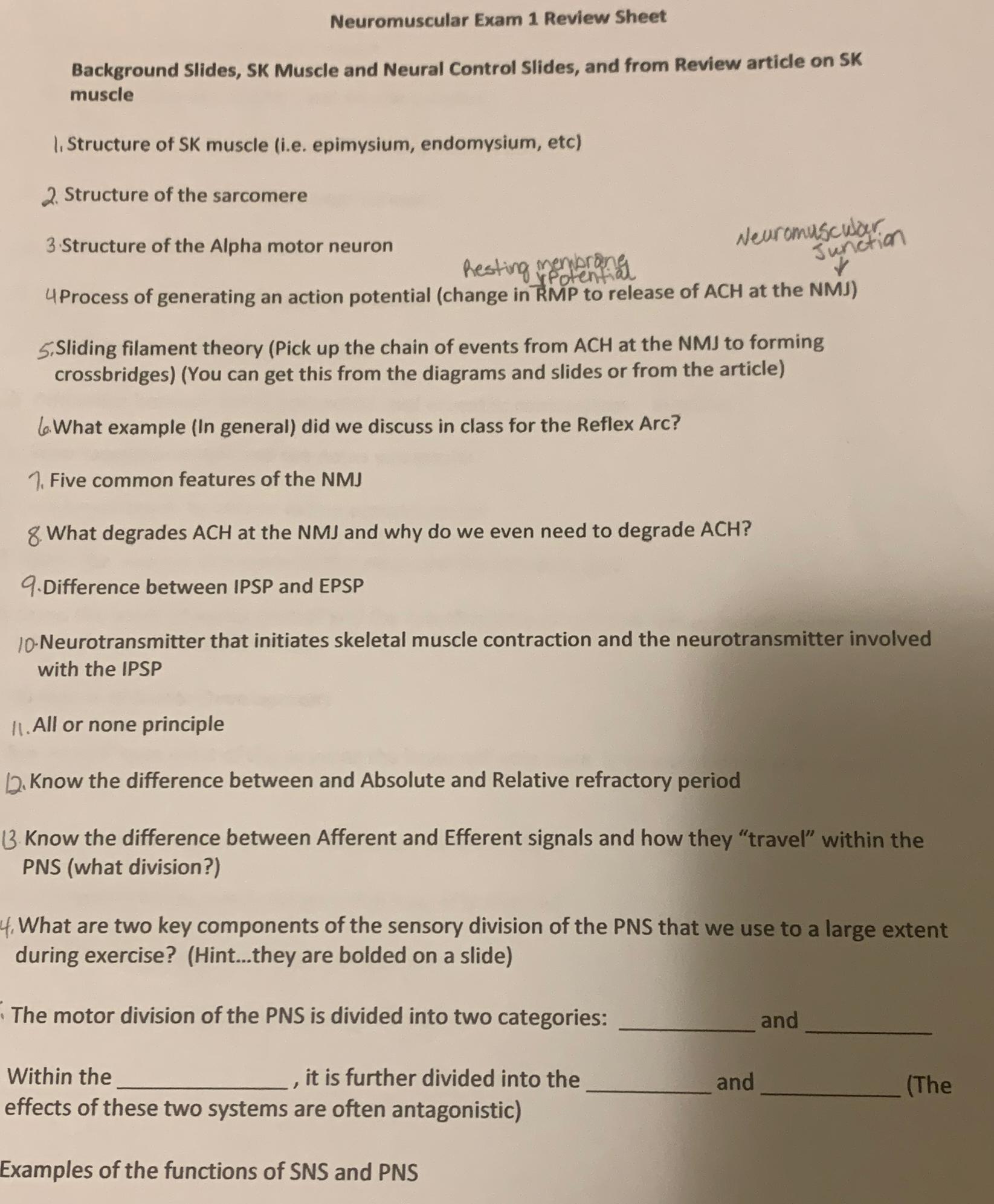 Solved Neuromuscular Exam 1 ﻿Review SheetBackground Slides, | Chegg.com