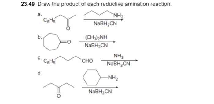Solved 23.49 Draw the product of each reductive amination | Chegg.com