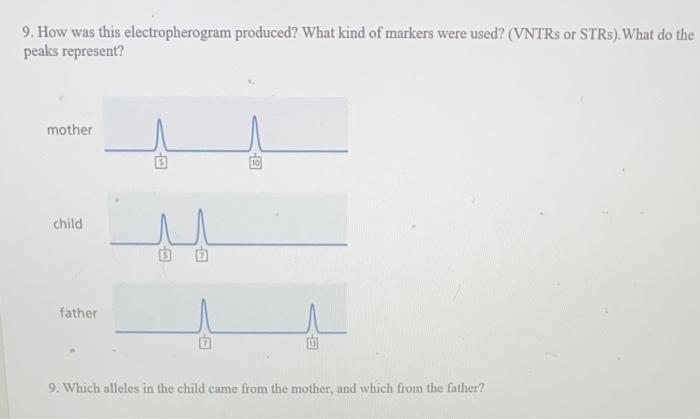 Solved 9. How was this electropherogram produced? What kind | Chegg.com