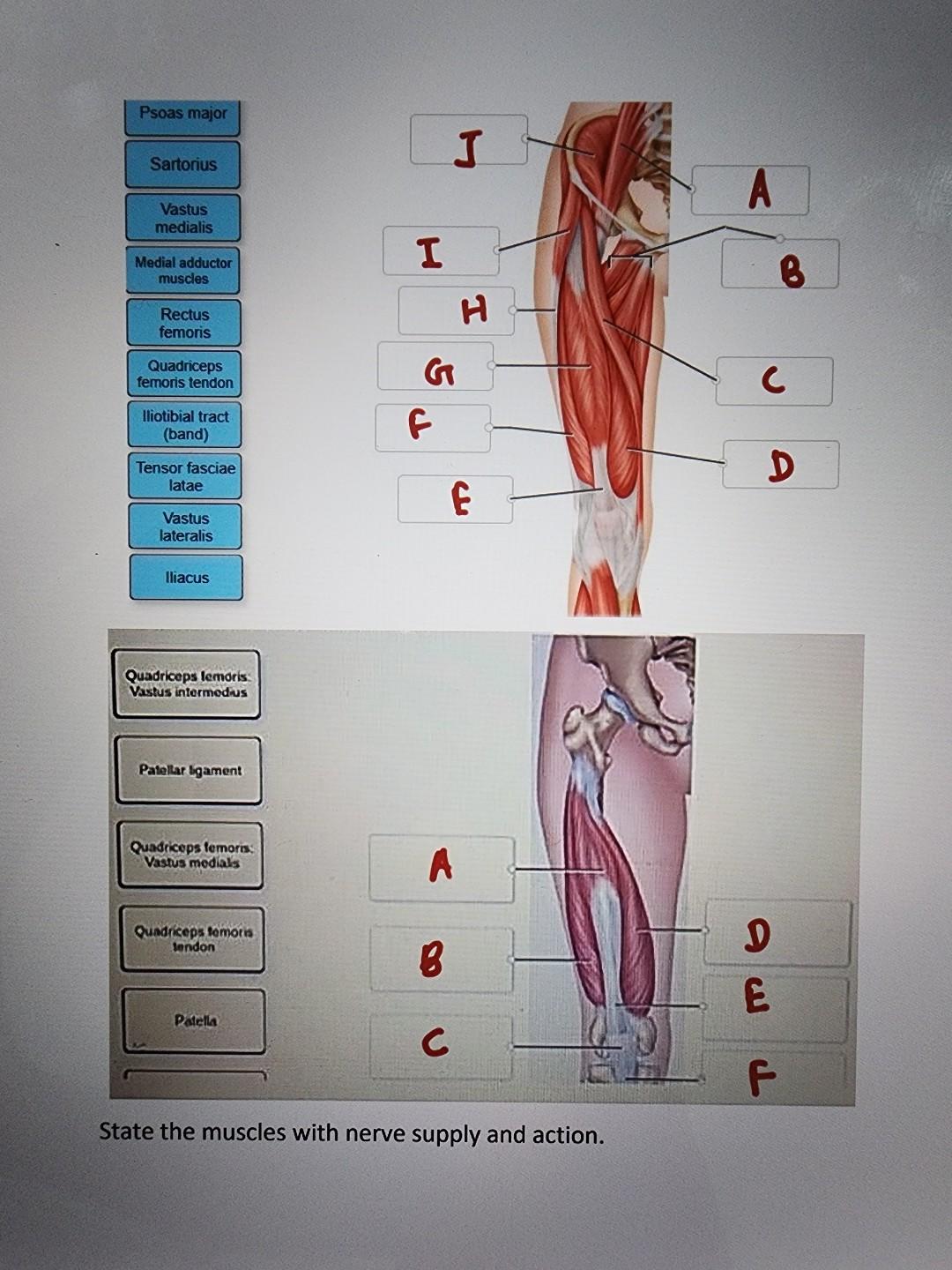 Solved Identify the structures and answer the question | Chegg.com