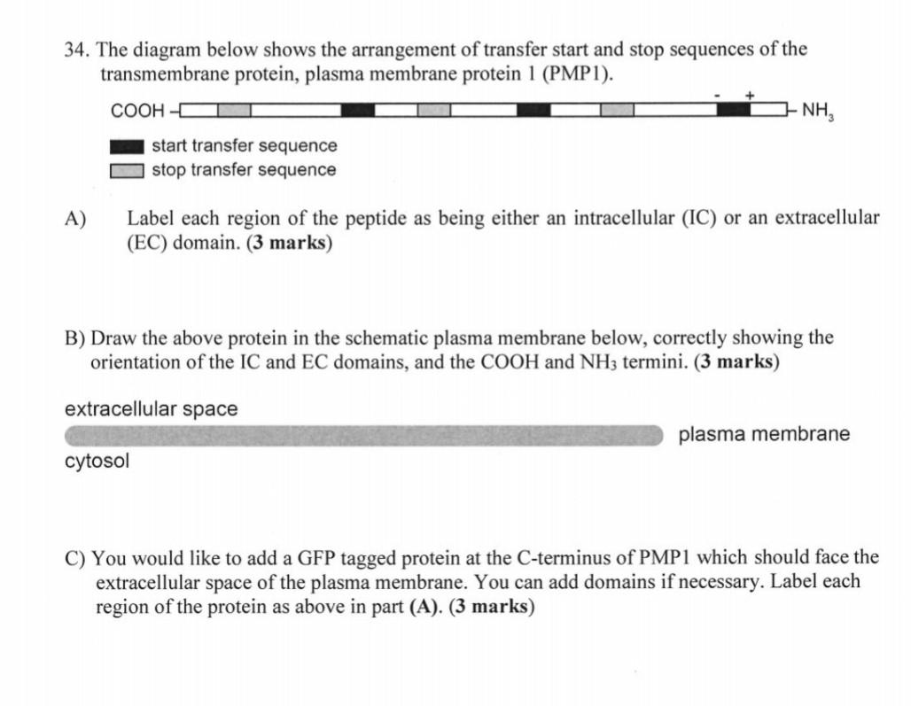 [Solved]: How to do this question? 34. The diagram