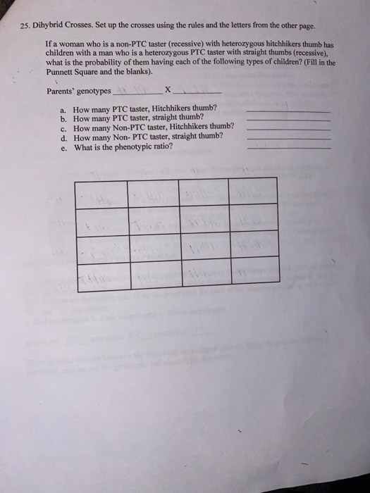 Solved 25. Dihybrid Crosses. Set up the crosses using the | Chegg.com
