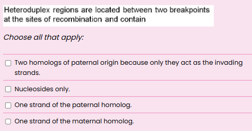 Solved Heteroduplex regions are located between two | Chegg.com