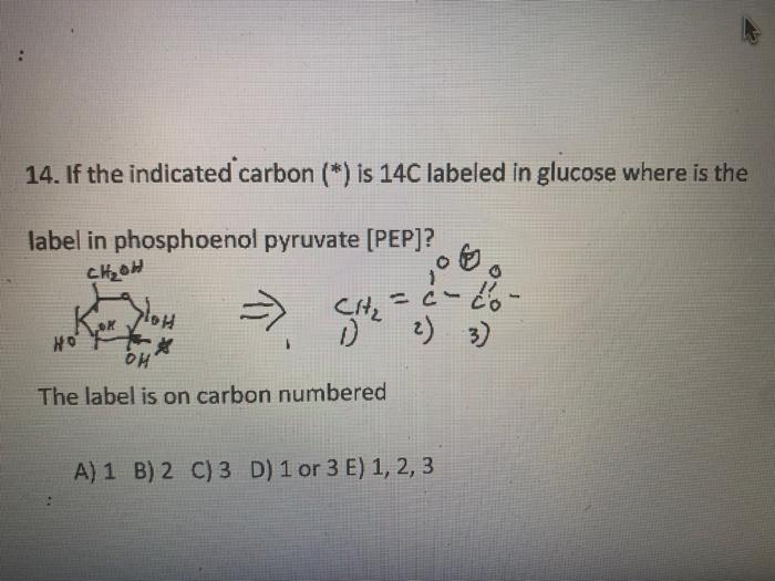 Solved 14. If the indicated carbon (*) is 14C labeled in | Chegg.com