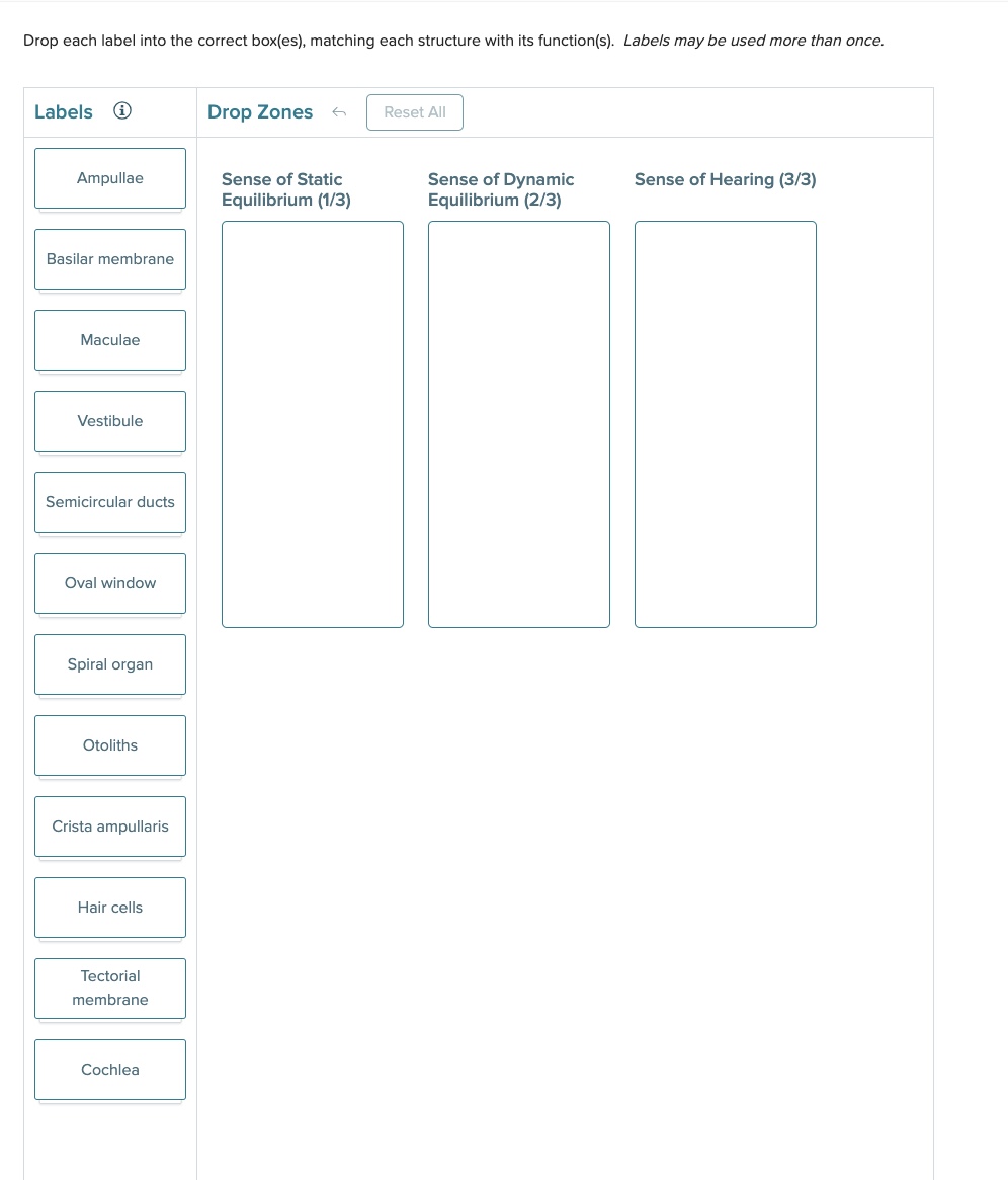 Drop each label into the correct box(es), ﻿matching | Chegg.com