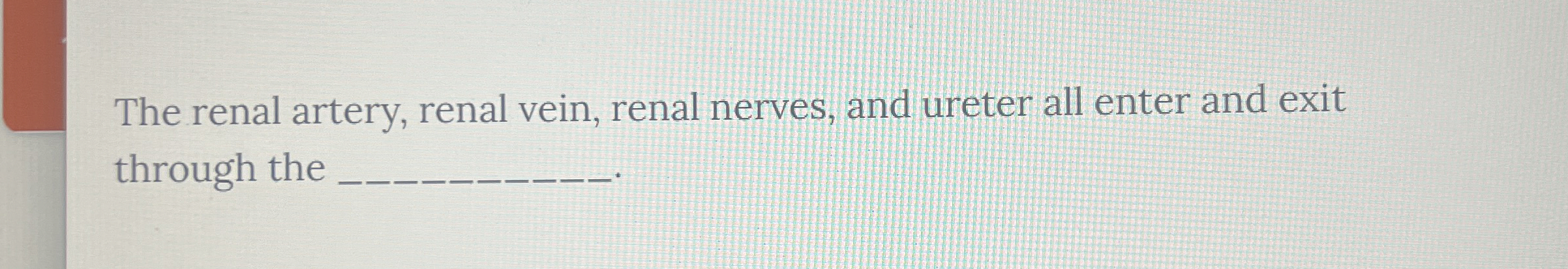 Solved The renal artery, renal vein, renal nerves, and | Chegg.com