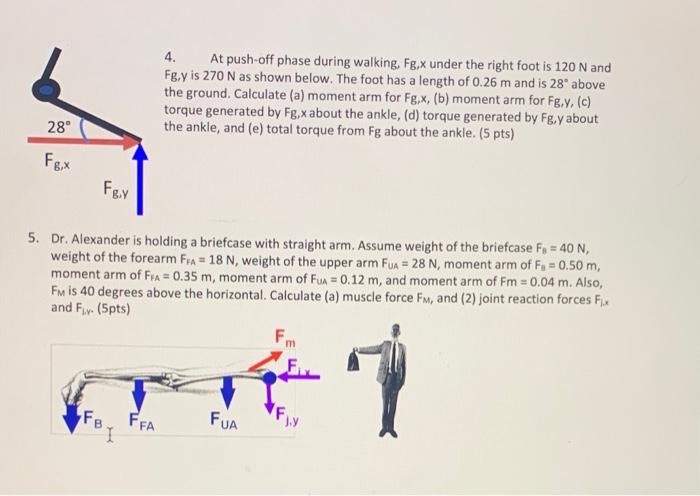 Solved 4. At push-off phase during walking, Fg.x under the | Chegg.com