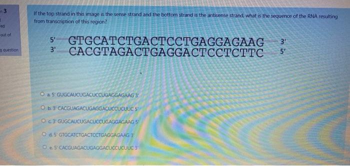 Solved 3 If the top strand in this image is the sense strand | Chegg.com
