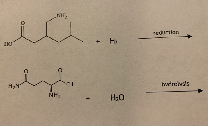 Solved NH a reduction + H2 HO H2N он hydrolysis NH2 + H20 | Chegg.com