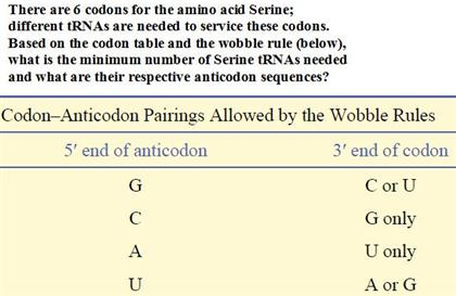 Solved There are 6 codons for the amino acid Serine; | Chegg.com