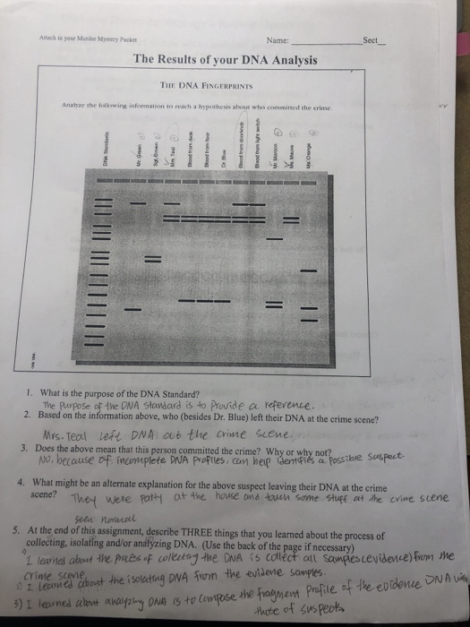 Solved Ach to your Murder Mystery Packet Name: The Results | Chegg.com