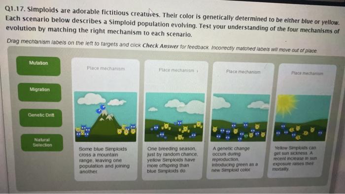 Solved Q1.17. Simploids are adorable fictitious creatures. | Chegg.com