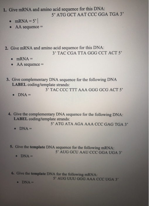 Solved 1. Give mRNA and amino acid sequence for this DNA: 5' | Chegg.com