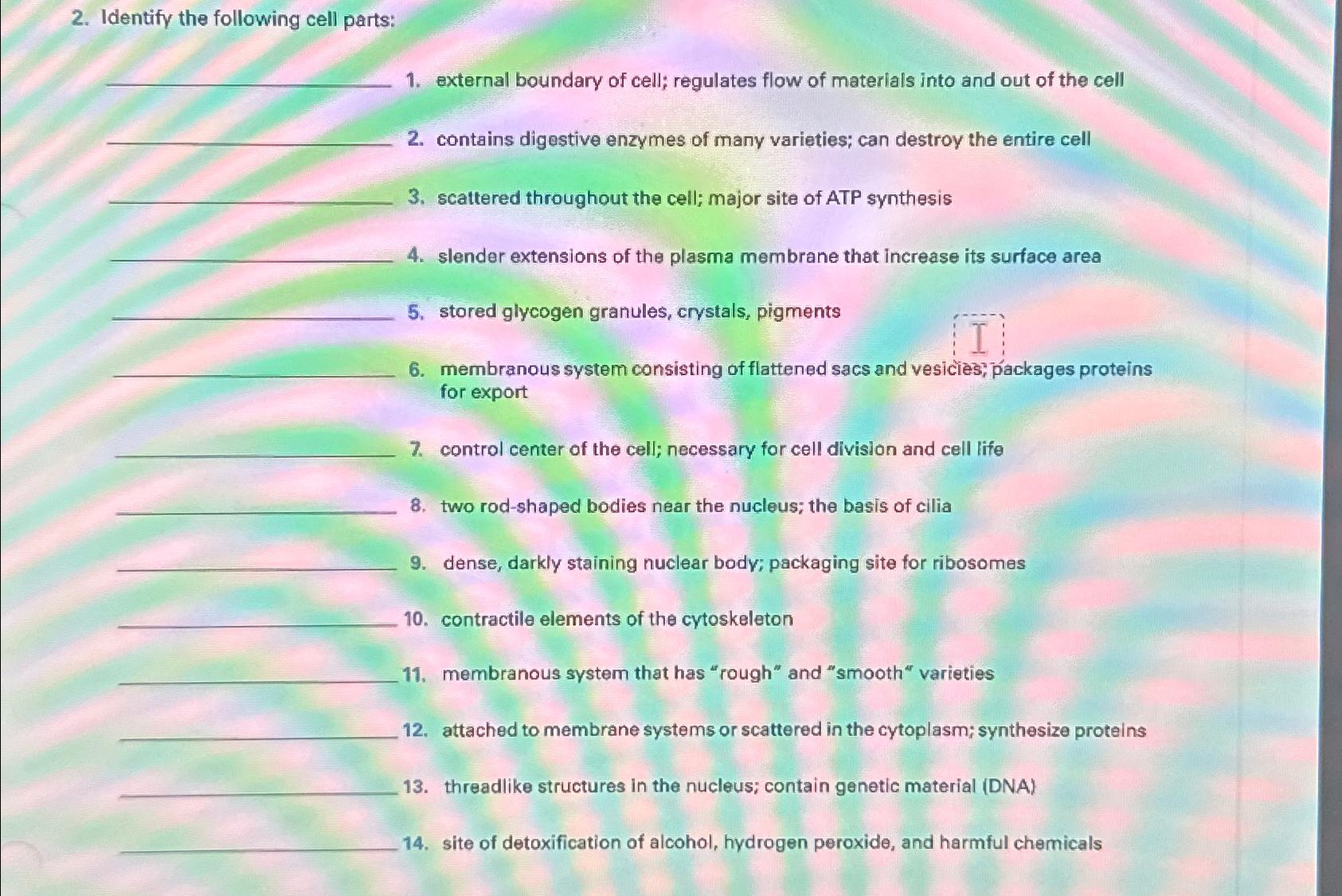 Solved Identify the following cell parts:external boundary | Chegg.com