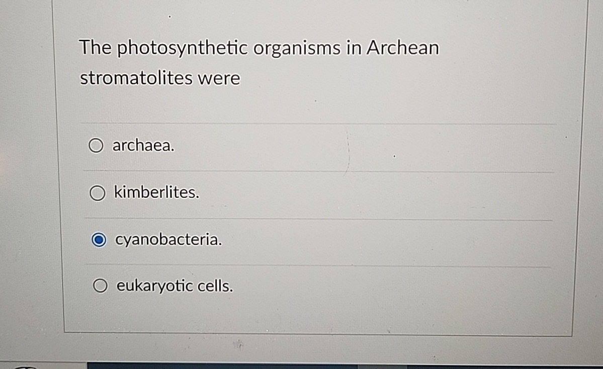 Solved The photosynthetic organisms in Archean stromatolites | Chegg.com