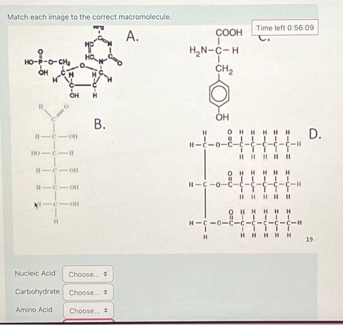 Solved Match each image to the correct macromolecule. Wa | Chegg.com