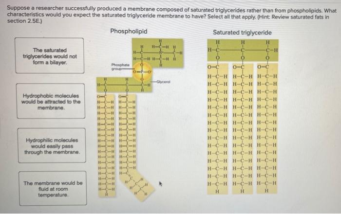 Solved Build a cell membrane Use the labels to draw and | Chegg.com