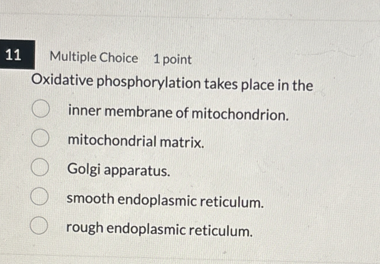 Solved 11 ﻿Multiple Choice 1 ﻿pointOxidative phosphorylation | Chegg.com