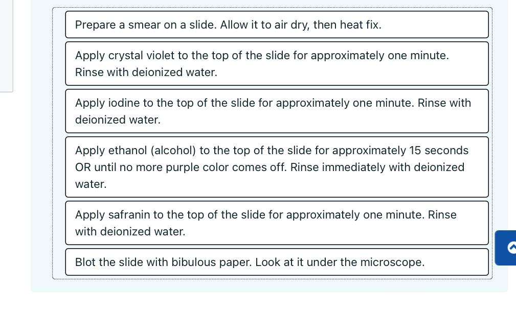 Solved Prepare a smear on a slide. Allow it to air dry, then | Chegg.com