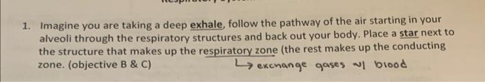 Solved 1. Imagine you are taking a deep exhale, follow the | Chegg.com