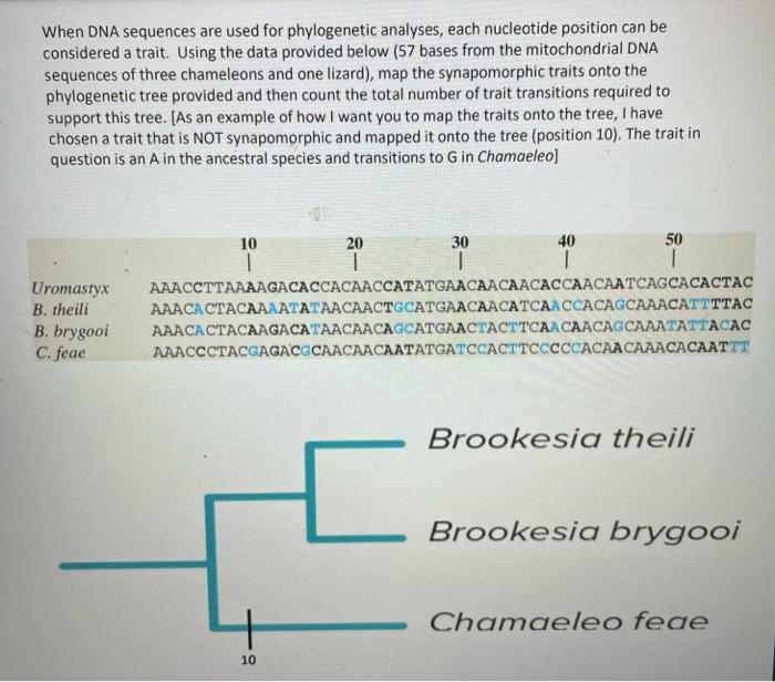 When DNA sequences are used for phylogenetic | Chegg.com