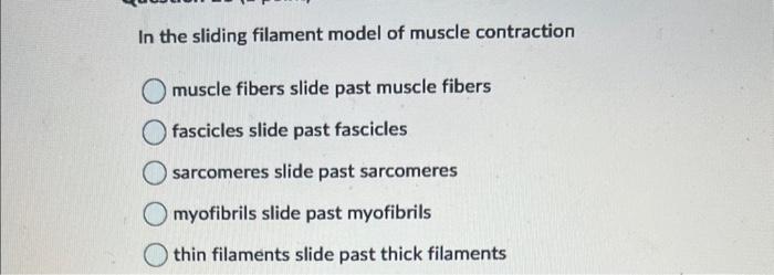 Solved In the sliding filament model of muscle contraction | Chegg.com