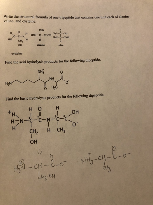 Solved Write the structural formula of one tripeptide that | Chegg.com