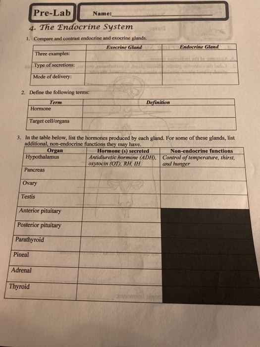 Solved: Pre-Lab Name: 4. The Endocrine System 1. Compare A... | Chegg.com