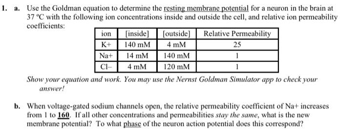Solved Use the Goldman equation to determine the resting | Chegg.com