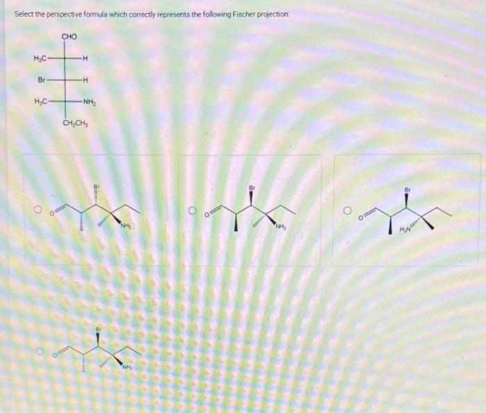 Solved Select the perspective formula which correctly | Chegg.com