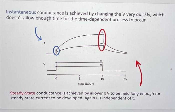 Solved uestion 2: Nernst-Planck Equation (NPE) and | Chegg.com
