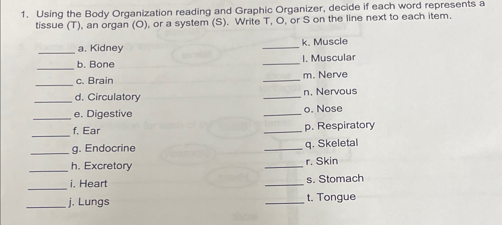 Using the Body Organization reading and Graphic | Chegg.com