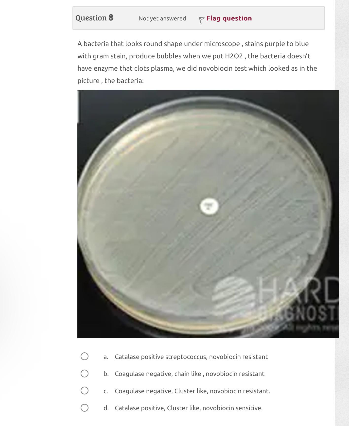 Solved Question 8Not yet answeredp Flag questionA bacteria | Chegg.com