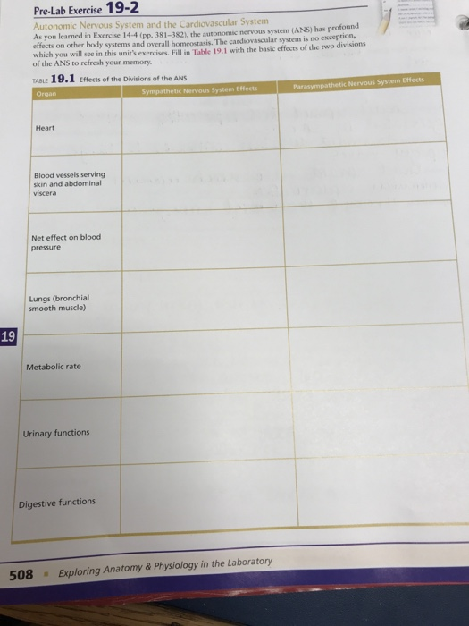 Solved Pre-Lab Exercise 19-2 Autonomic Nervous System and | Chegg.com