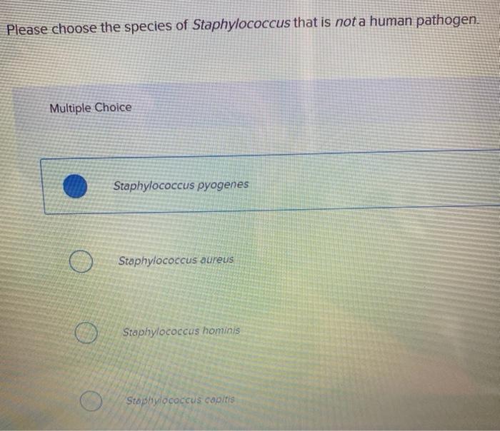 Solved Please choose the species of Staphylococcus that is | Chegg.com