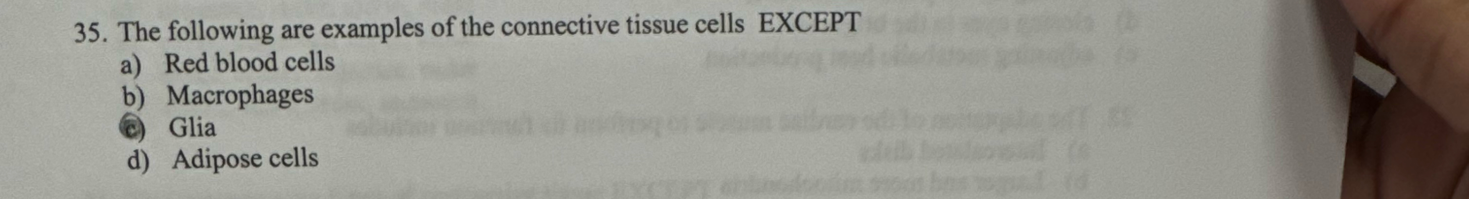 Solved The following are examples of the connective tissue | Chegg.com